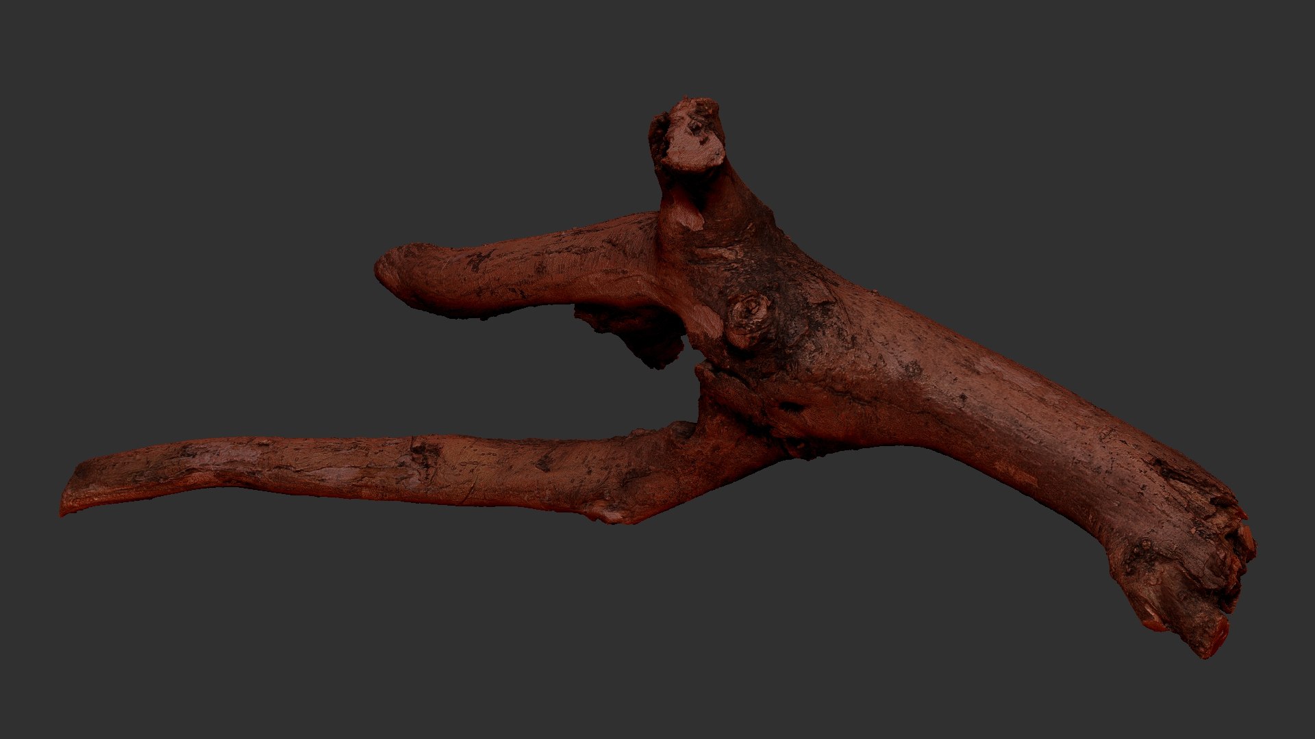 3D Tree Branch 3d Scan - TurboSquid 2204679