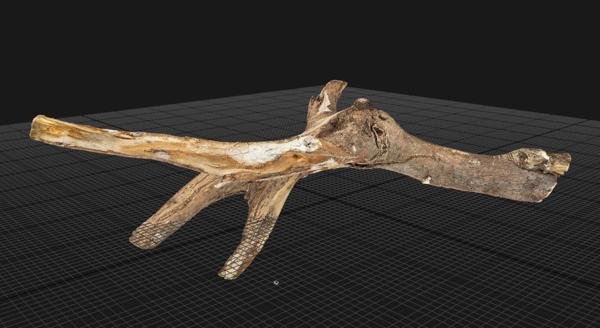 3D Tree Branch 3d Scan - TurboSquid 2204679
