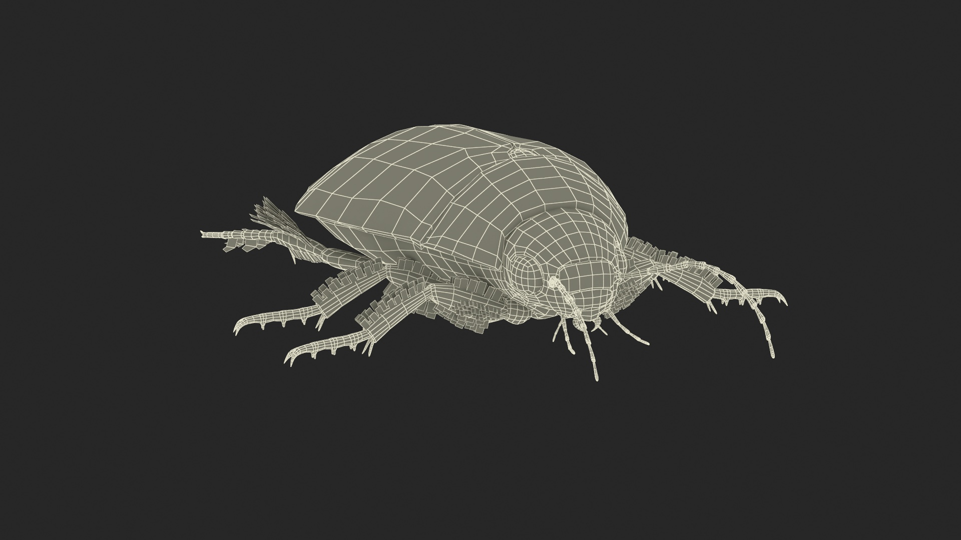 Squeak Beetle Black 3D Model - TurboSquid 2242064