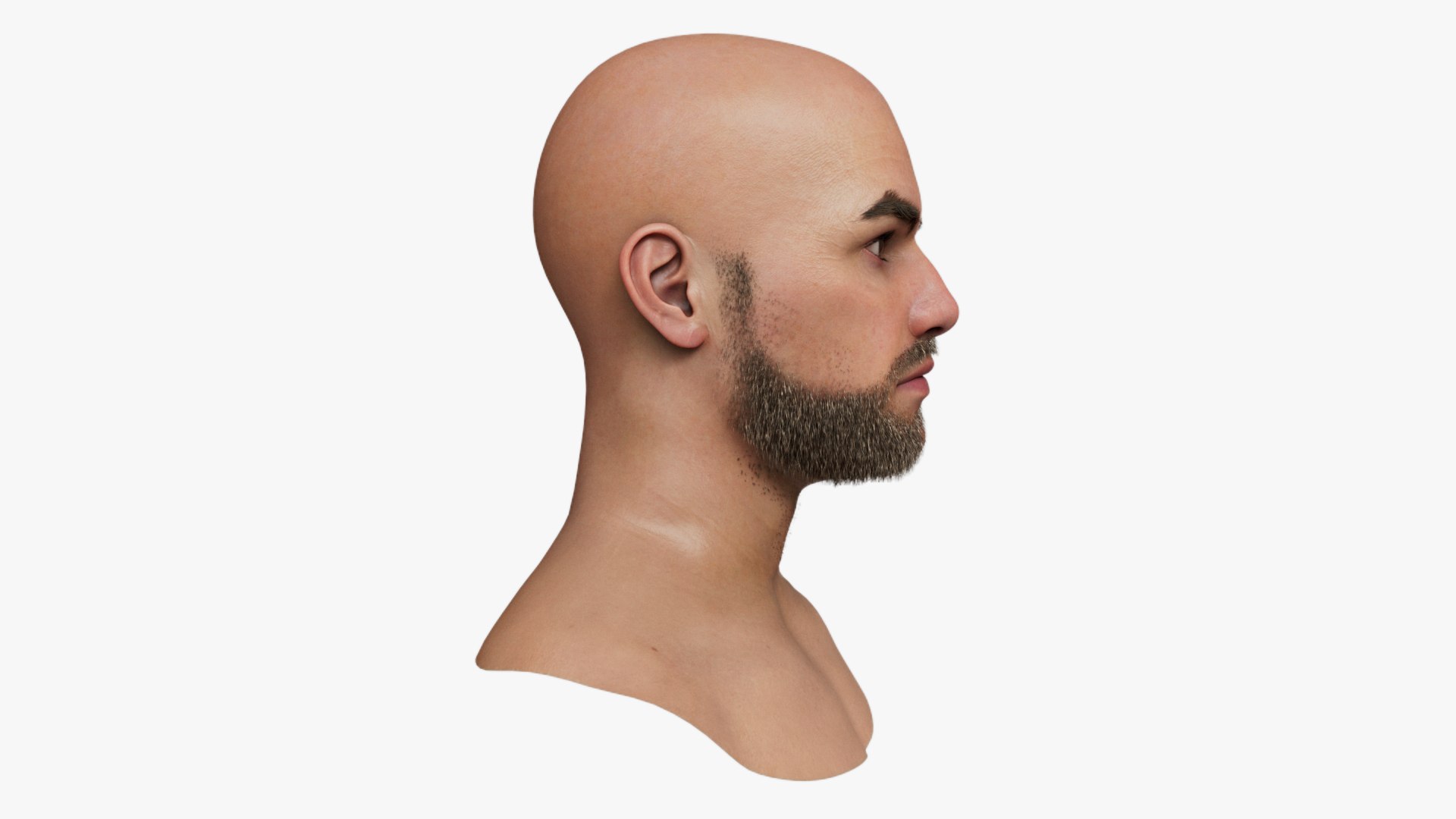 Male Head Mesh Metahuman Unreal Topology Man Head Mesh V1 3D Model ...