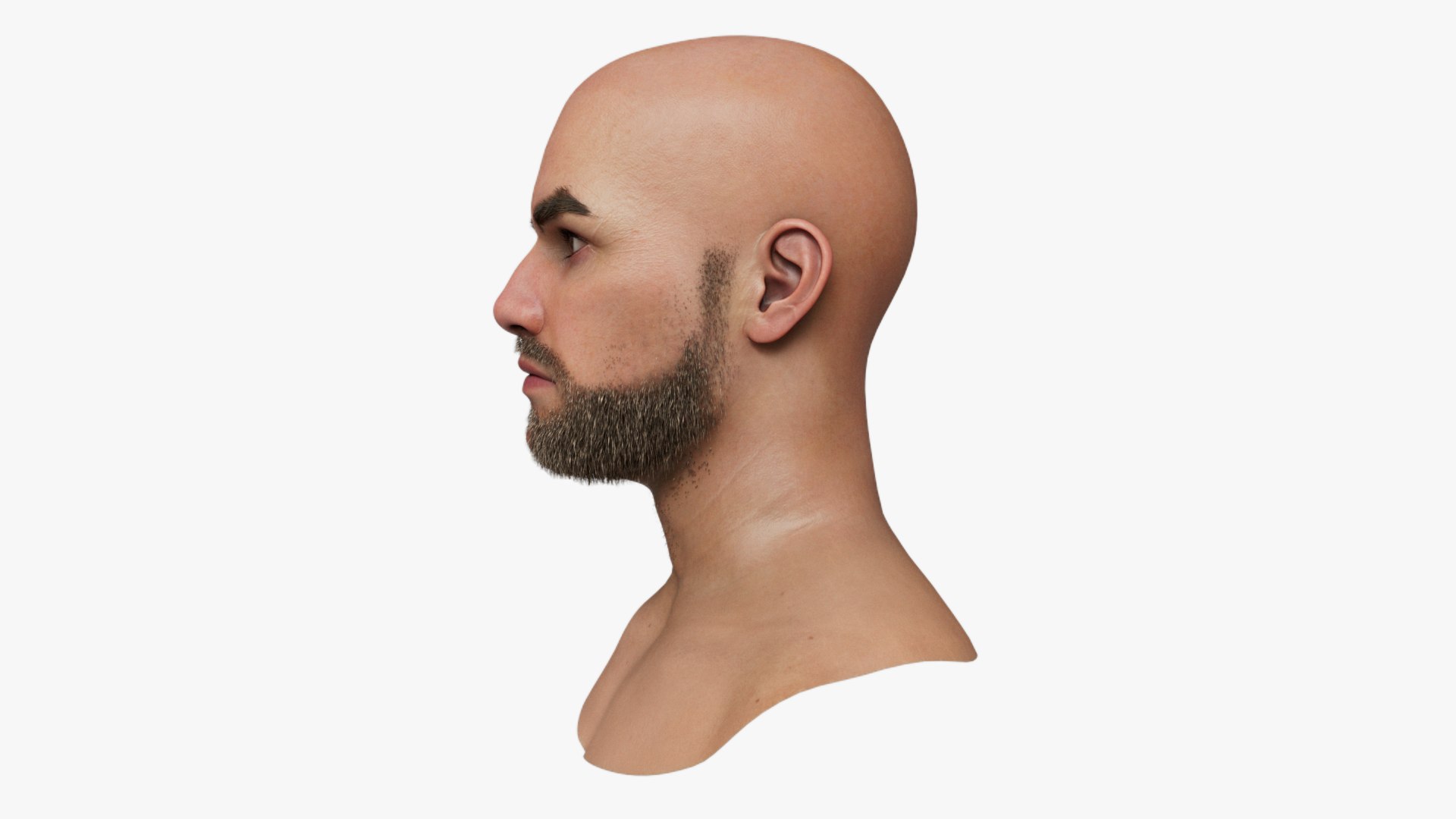 Male Head Mesh Metahuman Unreal Topology Man Head Mesh V1 3D Model ...