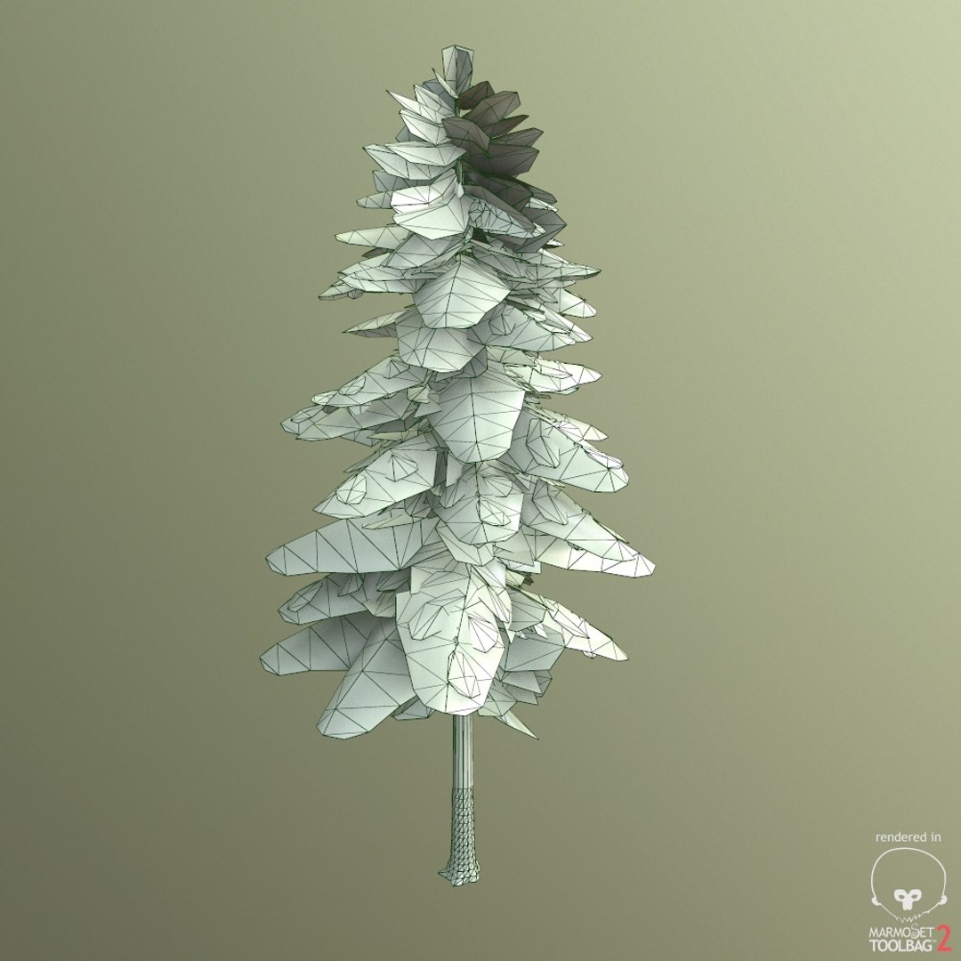 Spruce Tree 3d Model