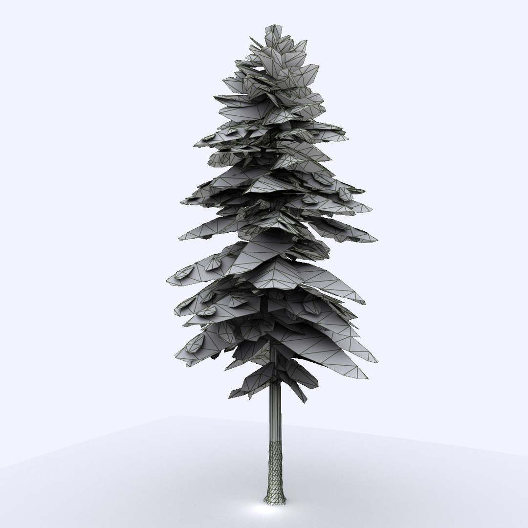 Spruce Tree 3d Model