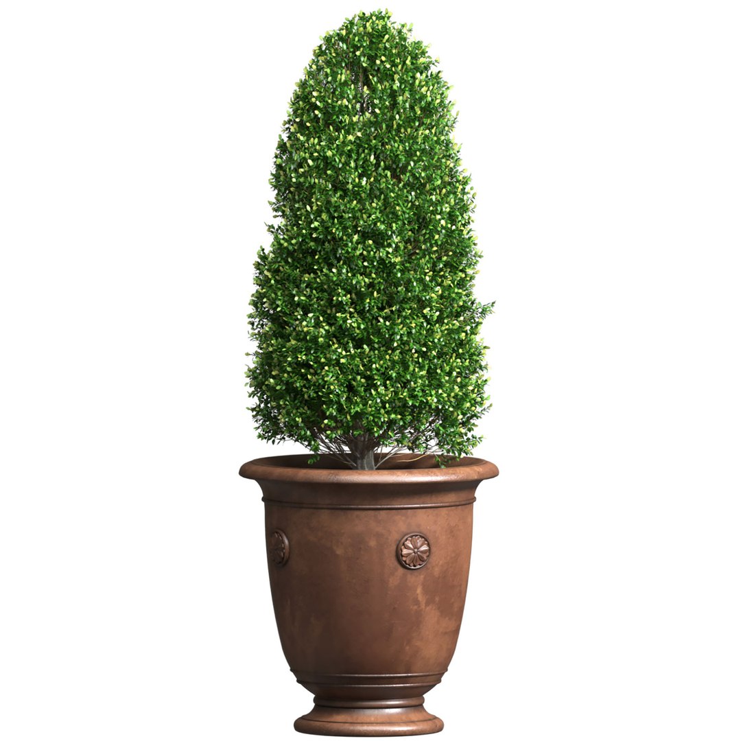 3D Boxwood In A Classic French Pot Front Entry Tree Patio Porch ...
