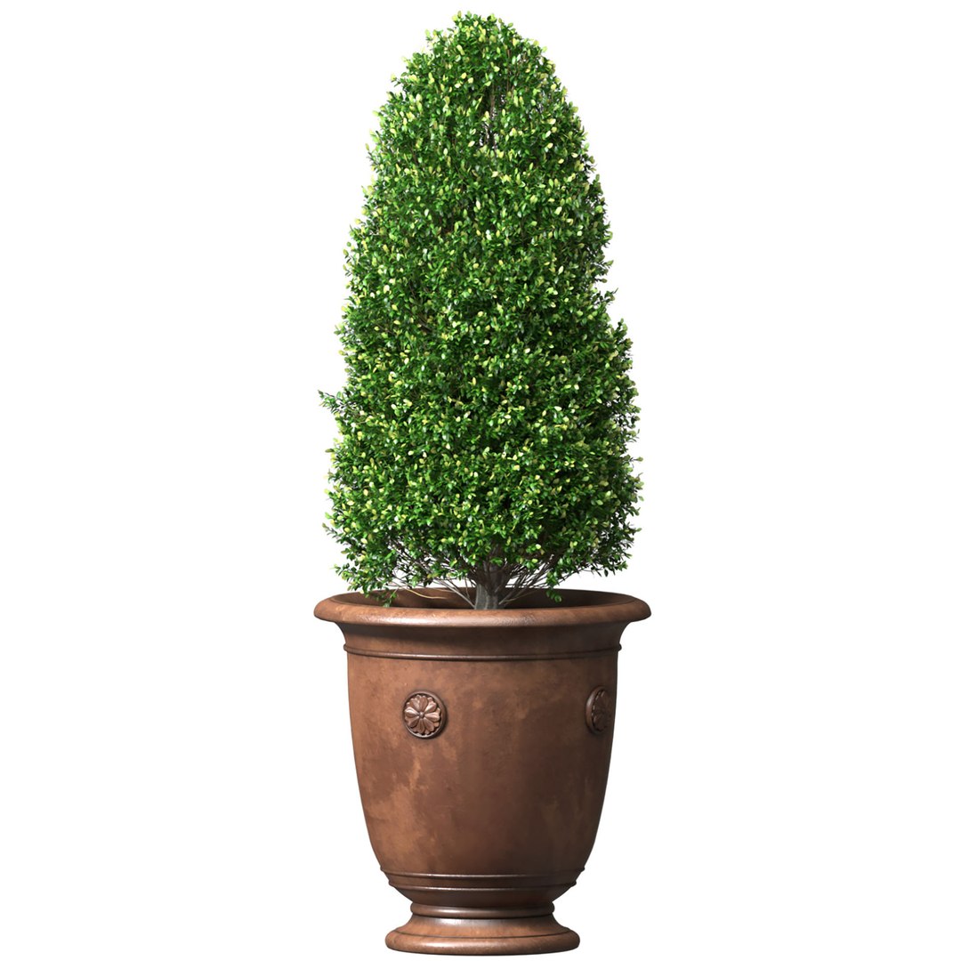 3D Boxwood In A Classic French Pot Front Entry Tree Patio Porch ...