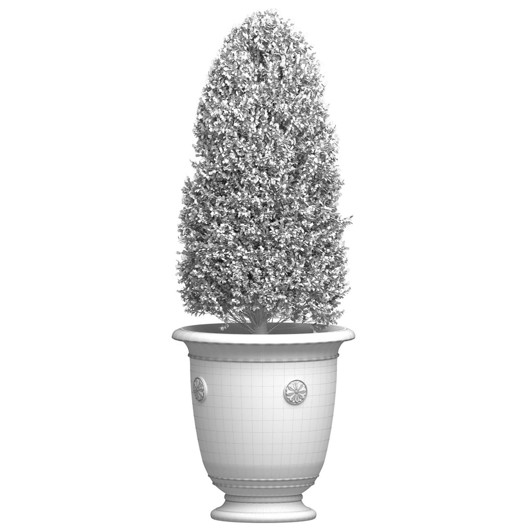 3D Boxwood In A Classic French Pot Front Entry Tree Patio Porch ...