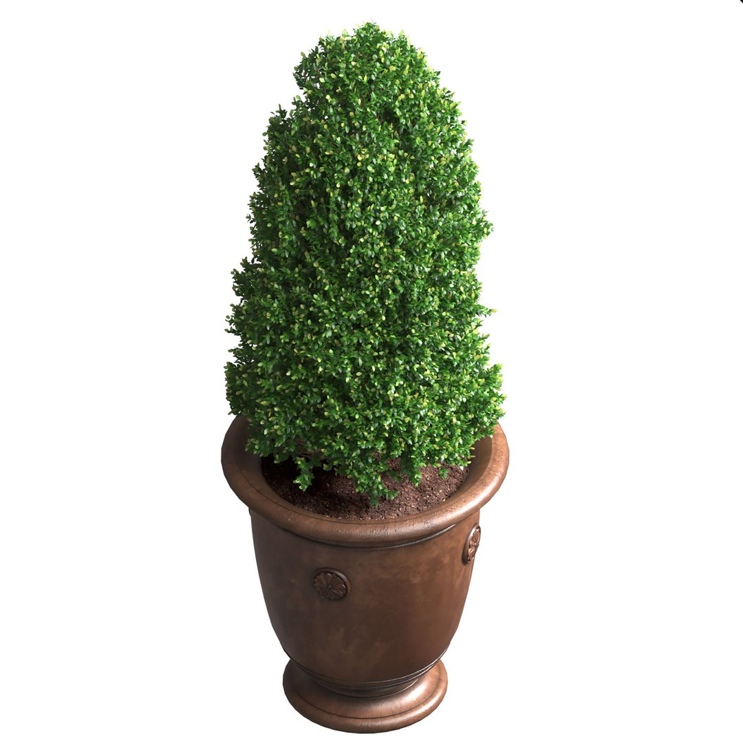 3D Boxwood In A Classic French Pot Front Entry Tree Patio Porch ...