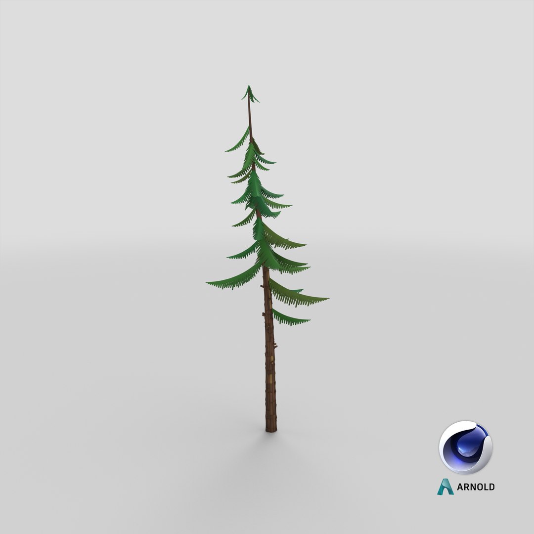 Cartoon Pine 09 3D Model - TurboSquid 1949319