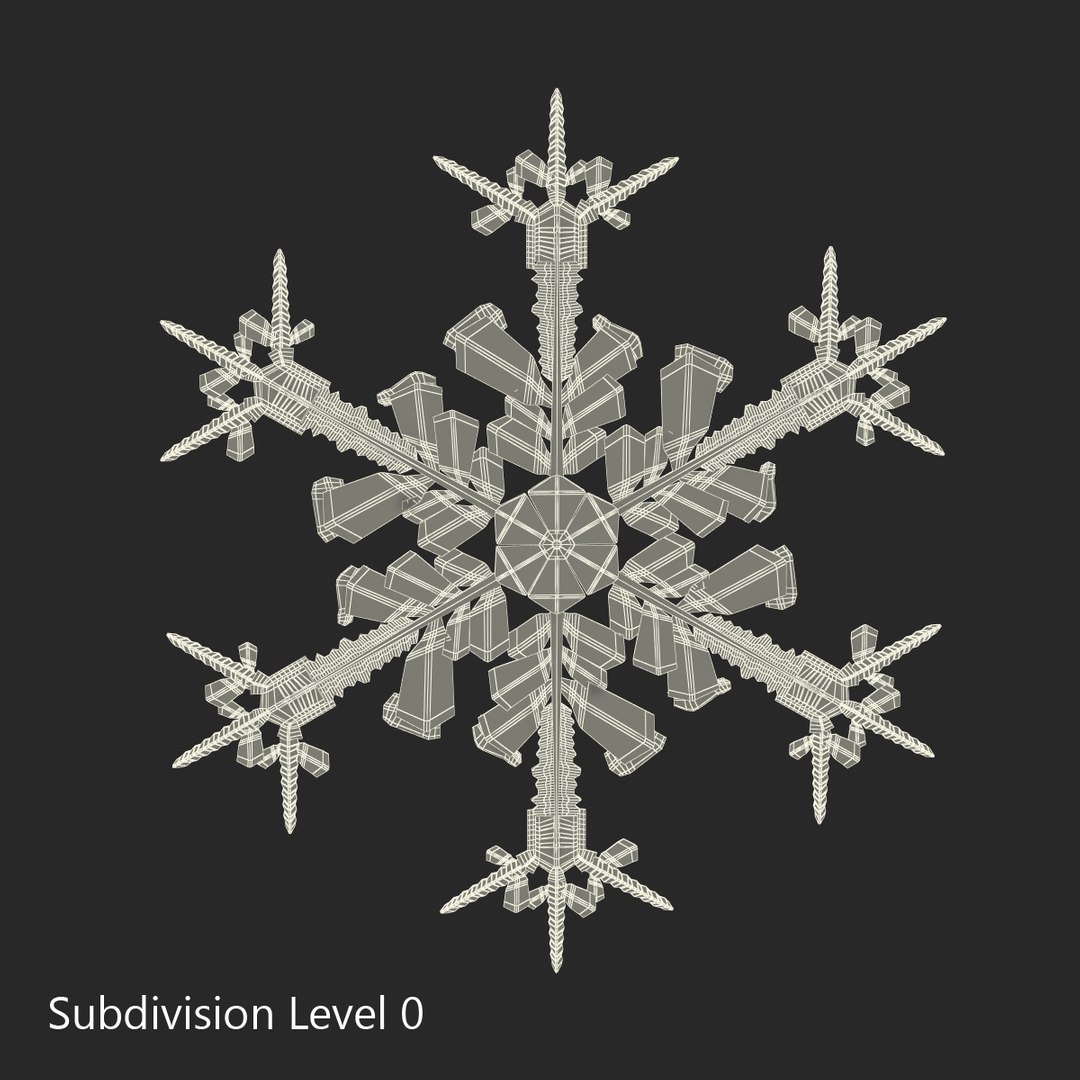3d Model Snowflake 4