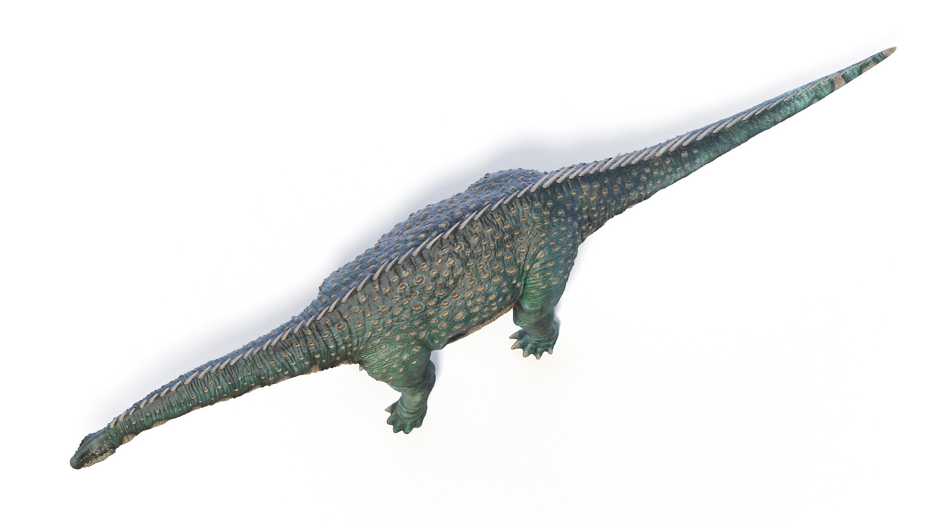 Barapasaurus Animated 3D Model - TurboSquid 1920607