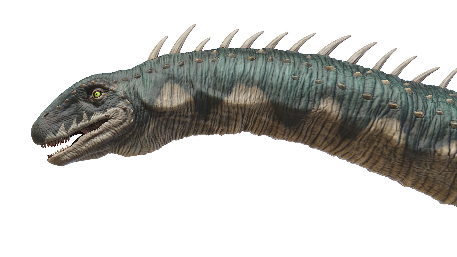 Barapasaurus Animated 3D Model - TurboSquid 1920607