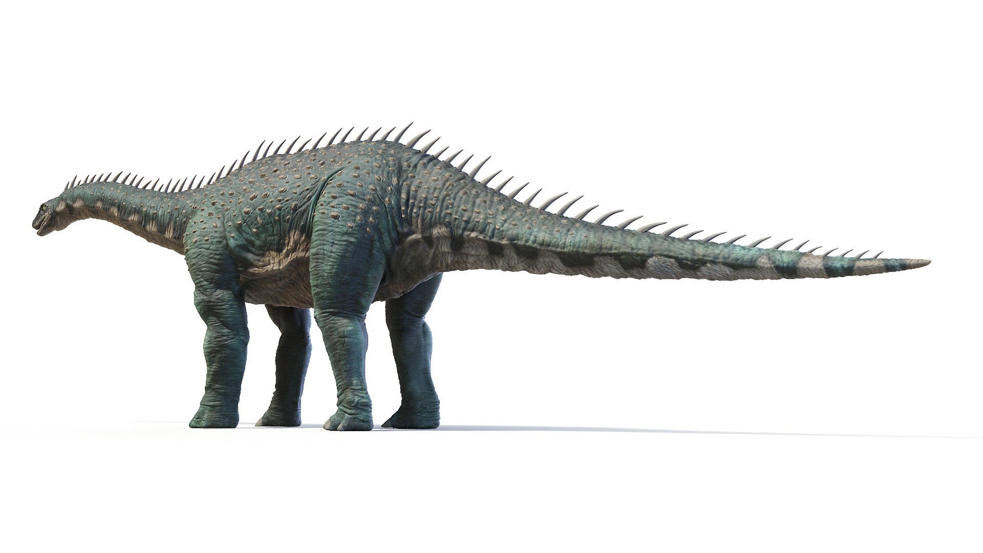 Barapasaurus Animated 3D Model - TurboSquid 1920607