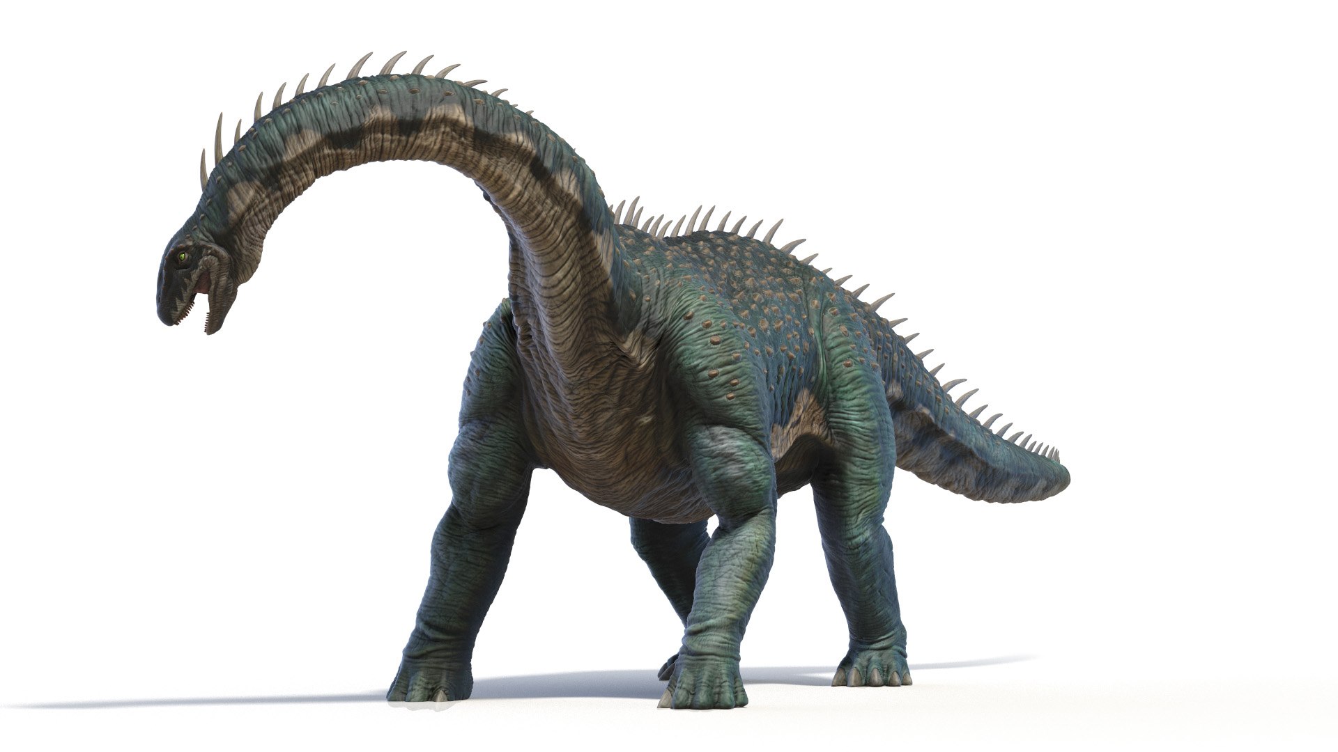 Barapasaurus Animated 3D Model - TurboSquid 1920607