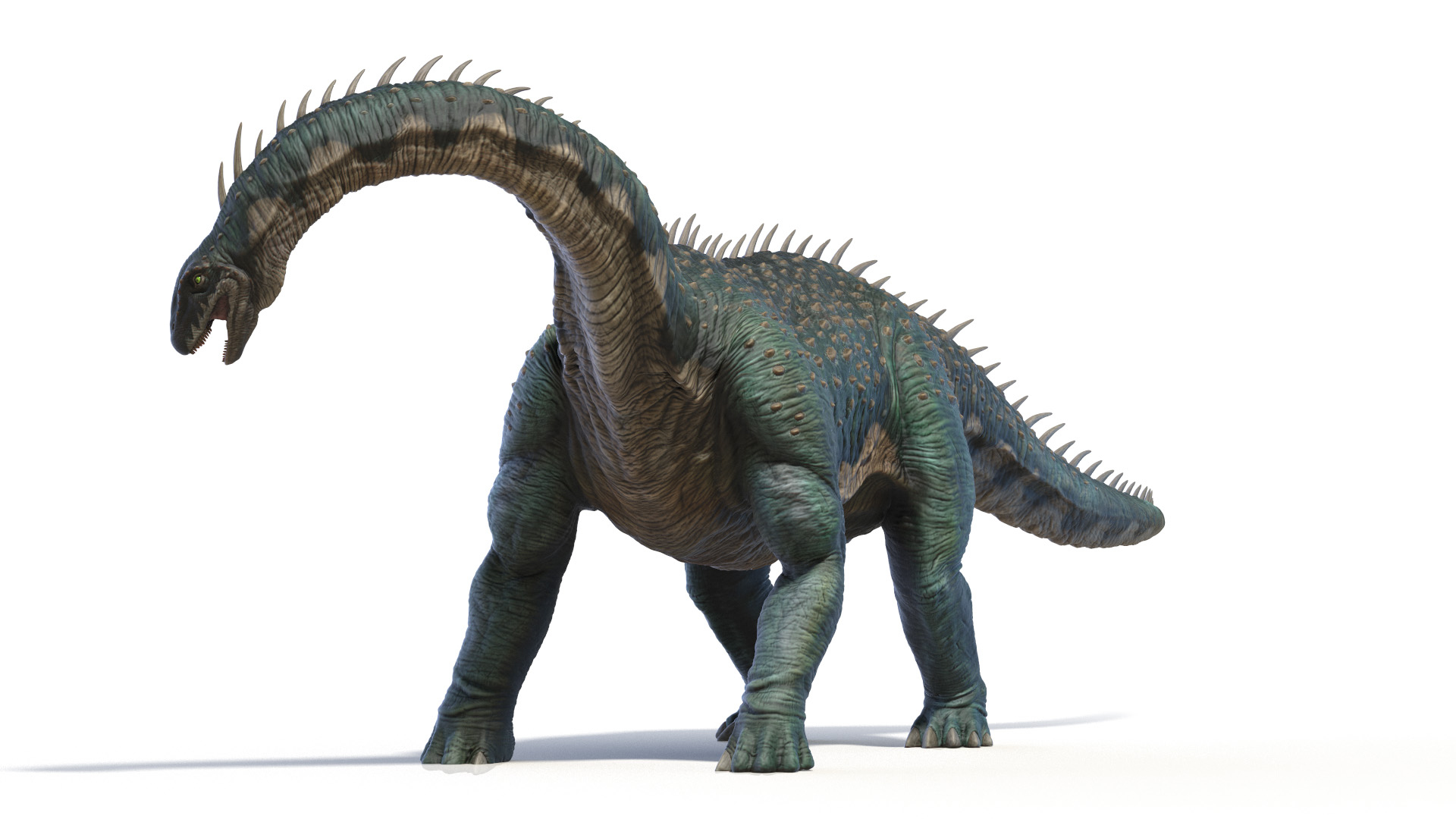 Barapasaurus Animated 3D model - TurboSquid 1920607