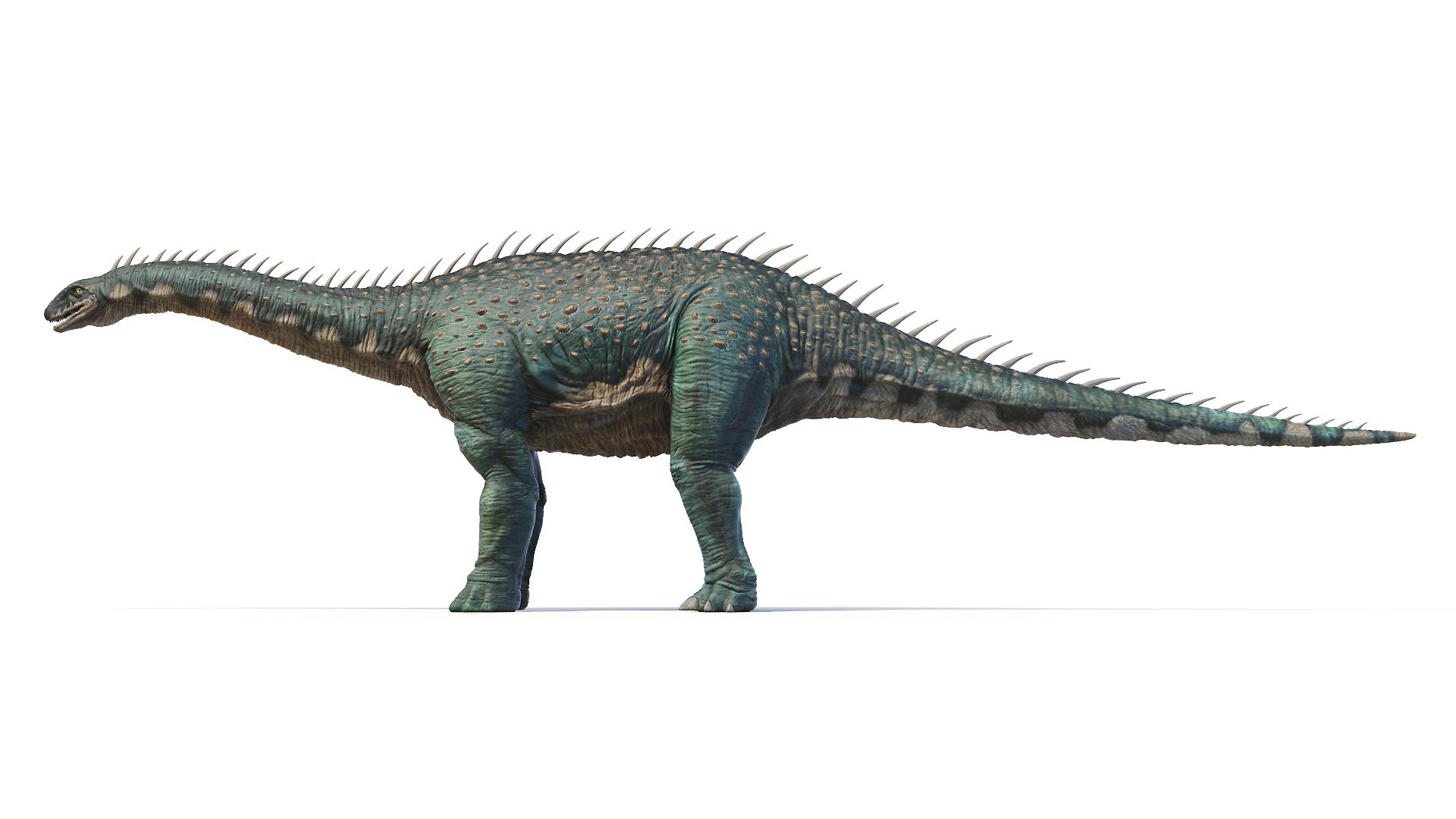 Barapasaurus Animated 3D Model - TurboSquid 1920607