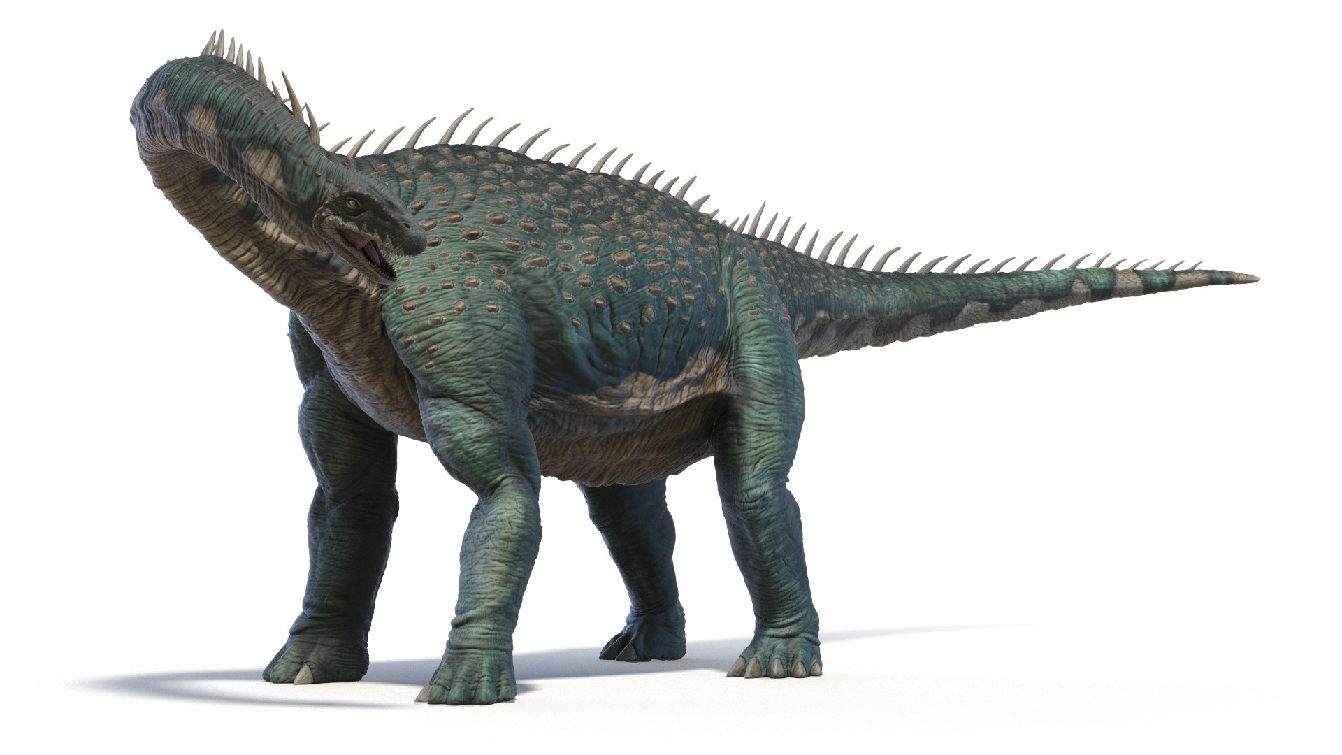 Barapasaurus Animated 3D Model - TurboSquid 1920607