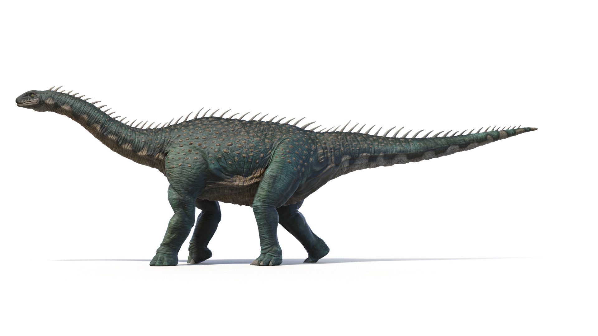 Barapasaurus Animated 3D Model - TurboSquid 1920607