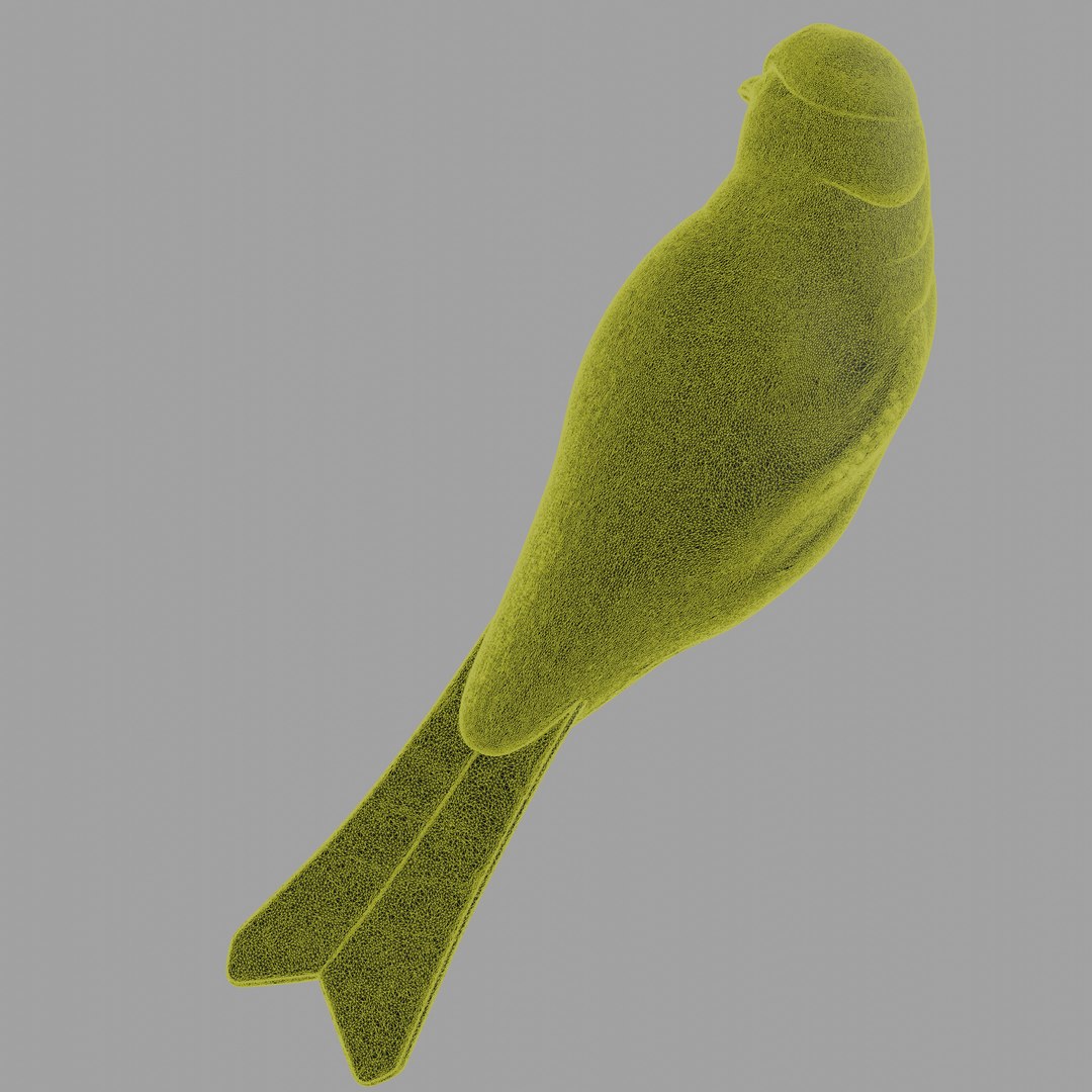 3D Bird Without Legs - TurboSquid 2432182