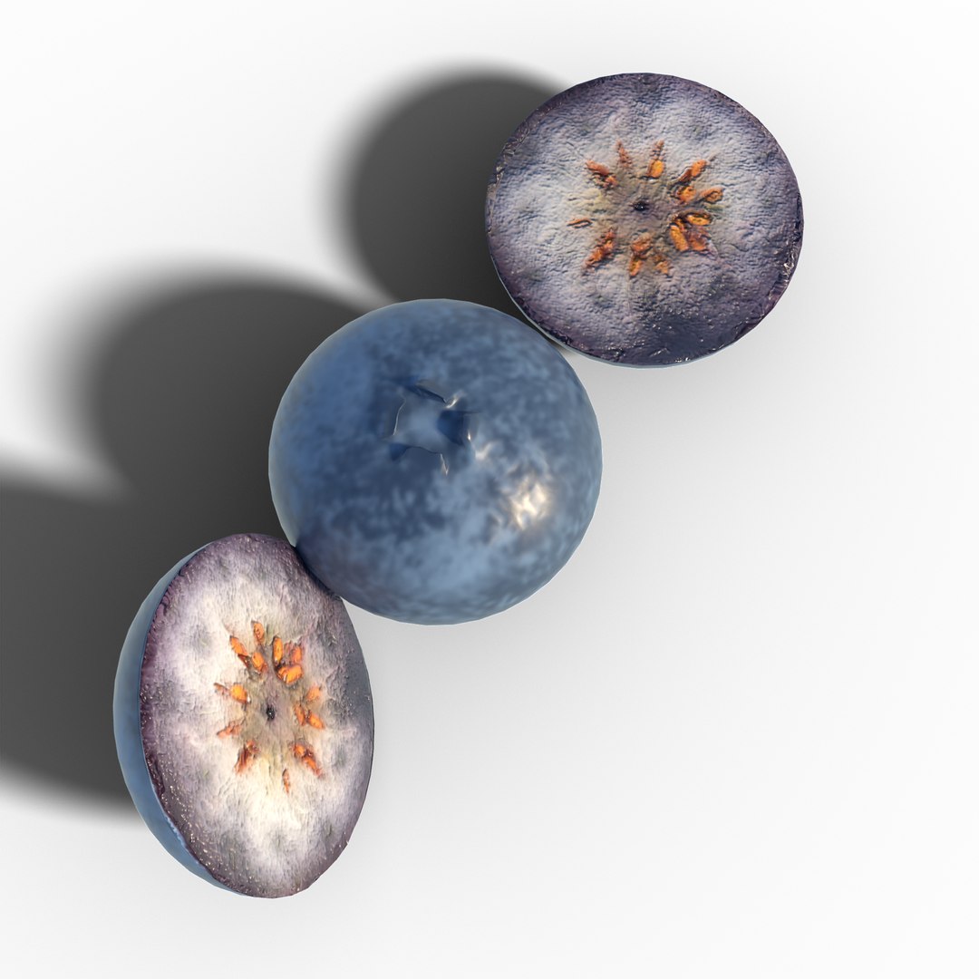 3D Blueberry - TurboSquid 2084646