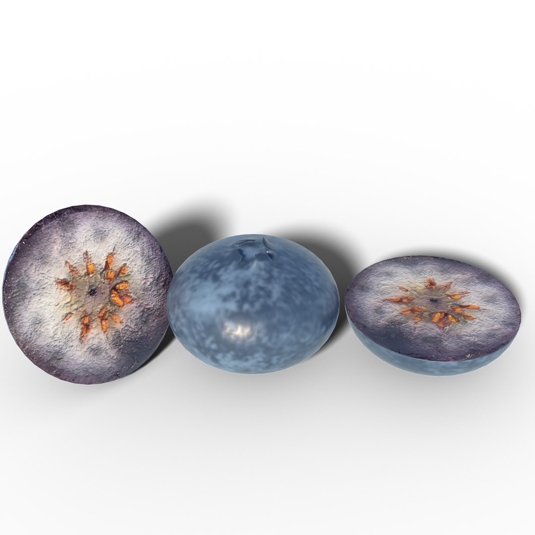 3D Blueberry - TurboSquid 2084646