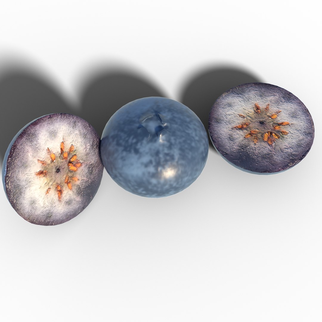3D Blueberry - TurboSquid 2084646