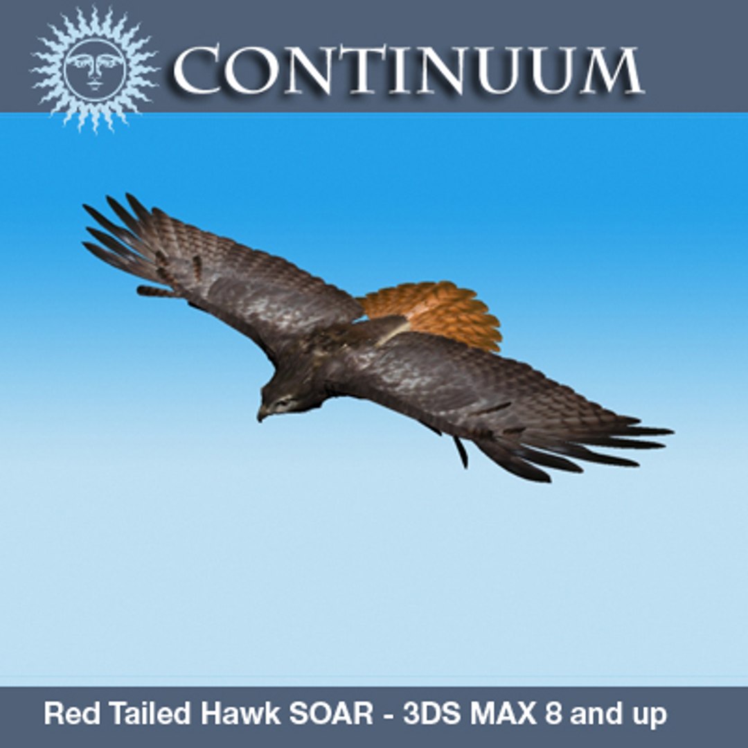 3ds Max Red Tailed Hawk Soaring