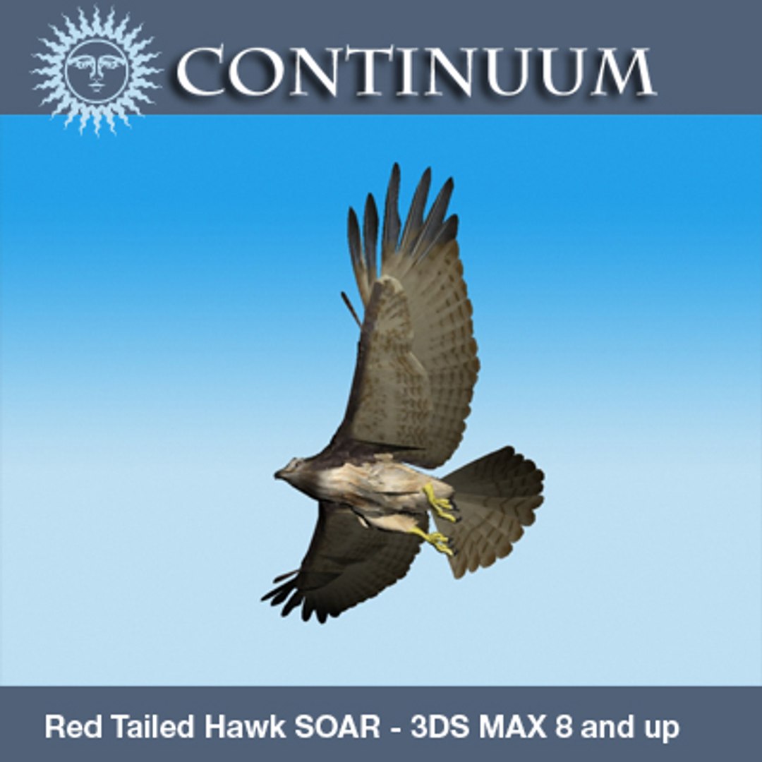 3ds Max Red Tailed Hawk Soaring