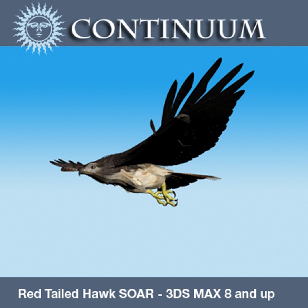 3ds Max Red Tailed Hawk Soaring