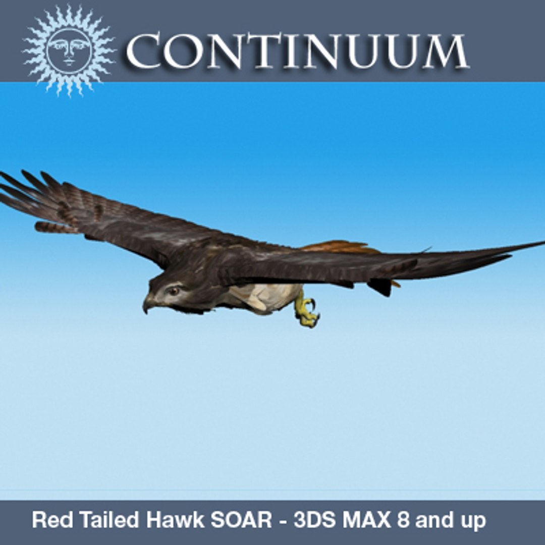 3ds Max Red Tailed Hawk Soaring