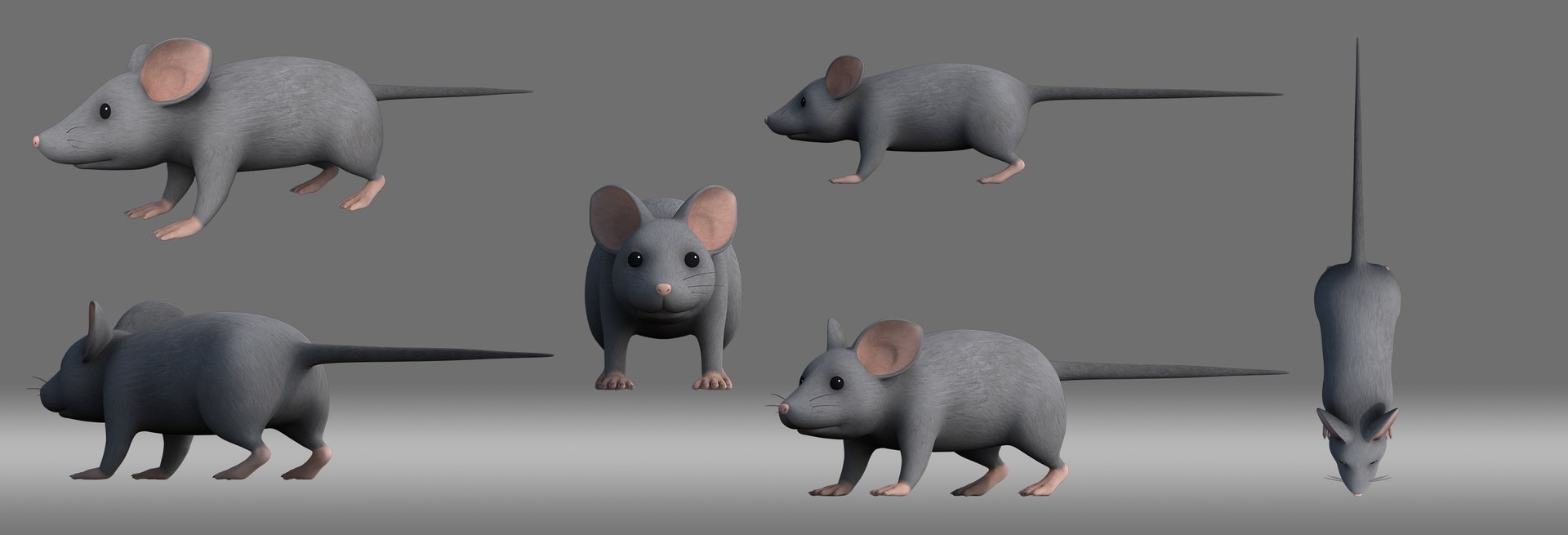 Cartoon Mouse Model - TurboSquid 1514184