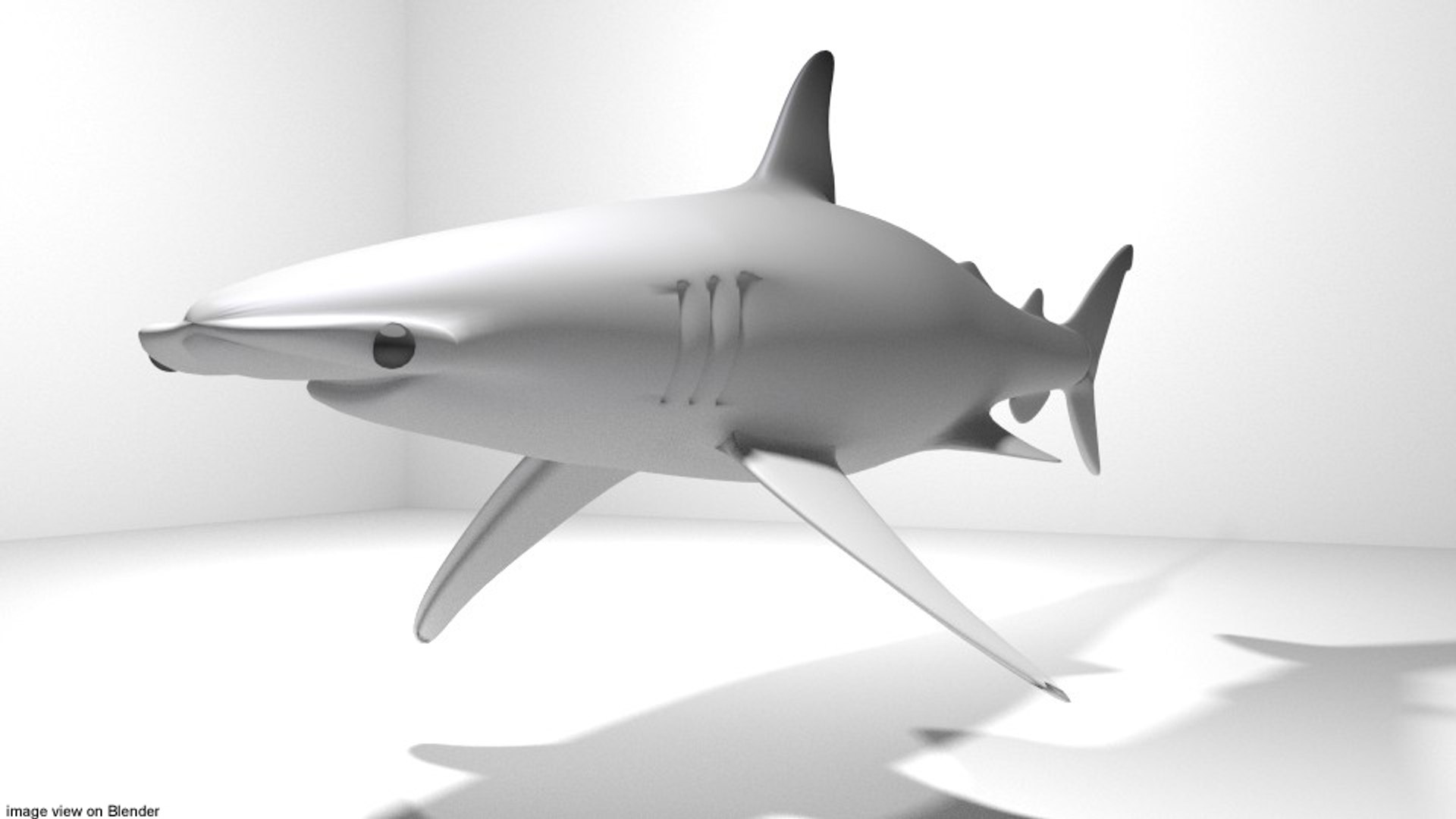 3D Bonnethead Shark Model - TurboSquid 1174194