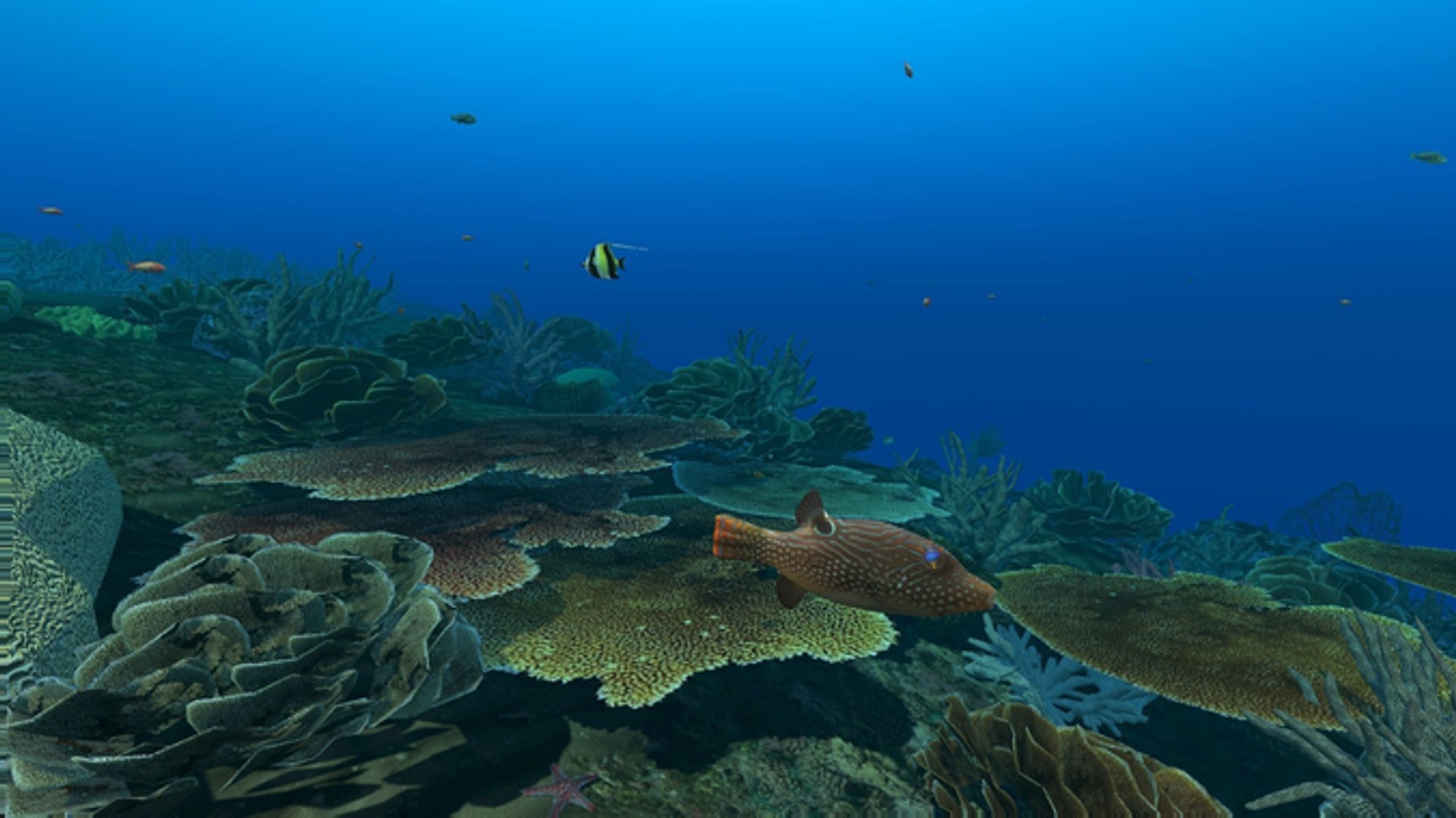 Animals Coral Reef Fish 3d X