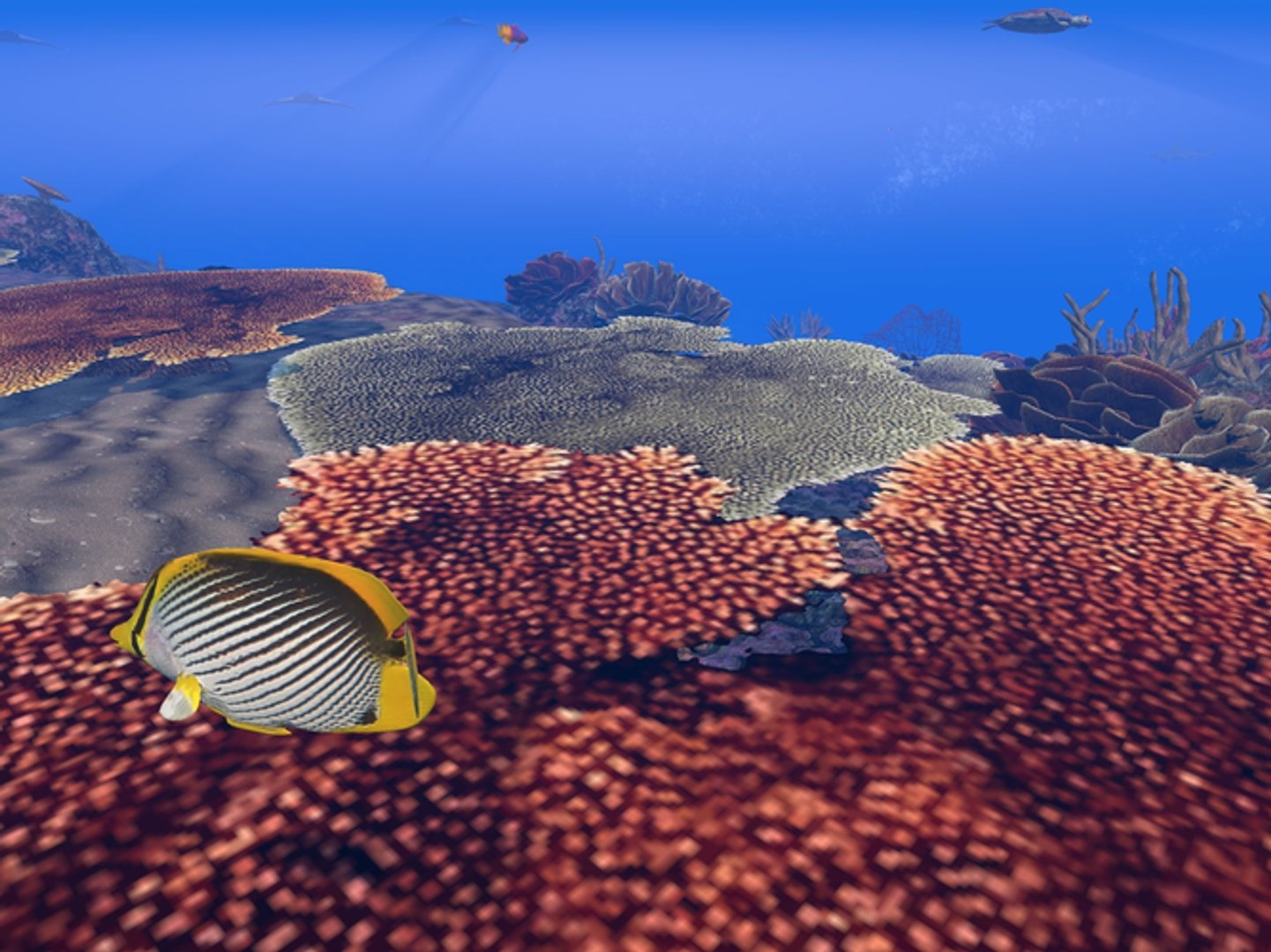 Animals Coral Reef Fish 3d X
