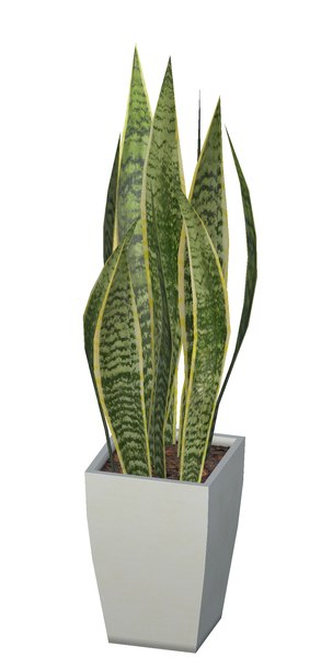 modelo 3d snakePlant_02_lowpoly_pbr - TurboSquid 1527348