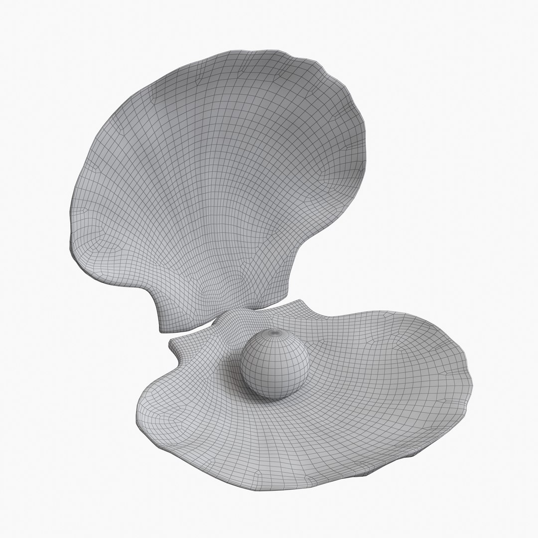 3D sea shell pearl decor - TurboSquid 1373871