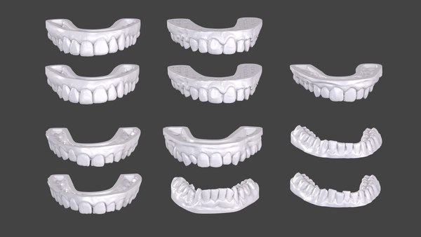 Anatomía Dental En 3d Tooth V2 3D Model FlatPyramid