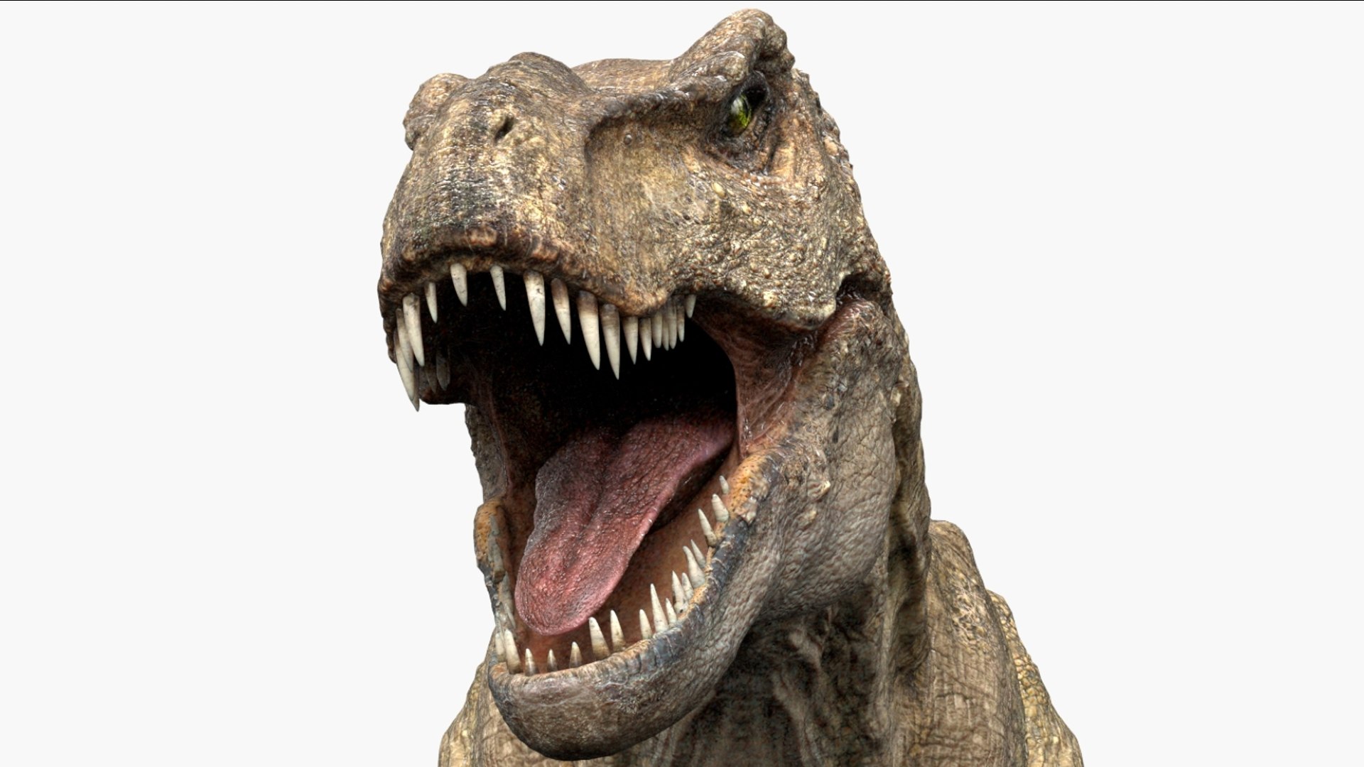 Tyrannosaurus Rex Animated Rigged 3D 3D Model - TurboSquid 2424378