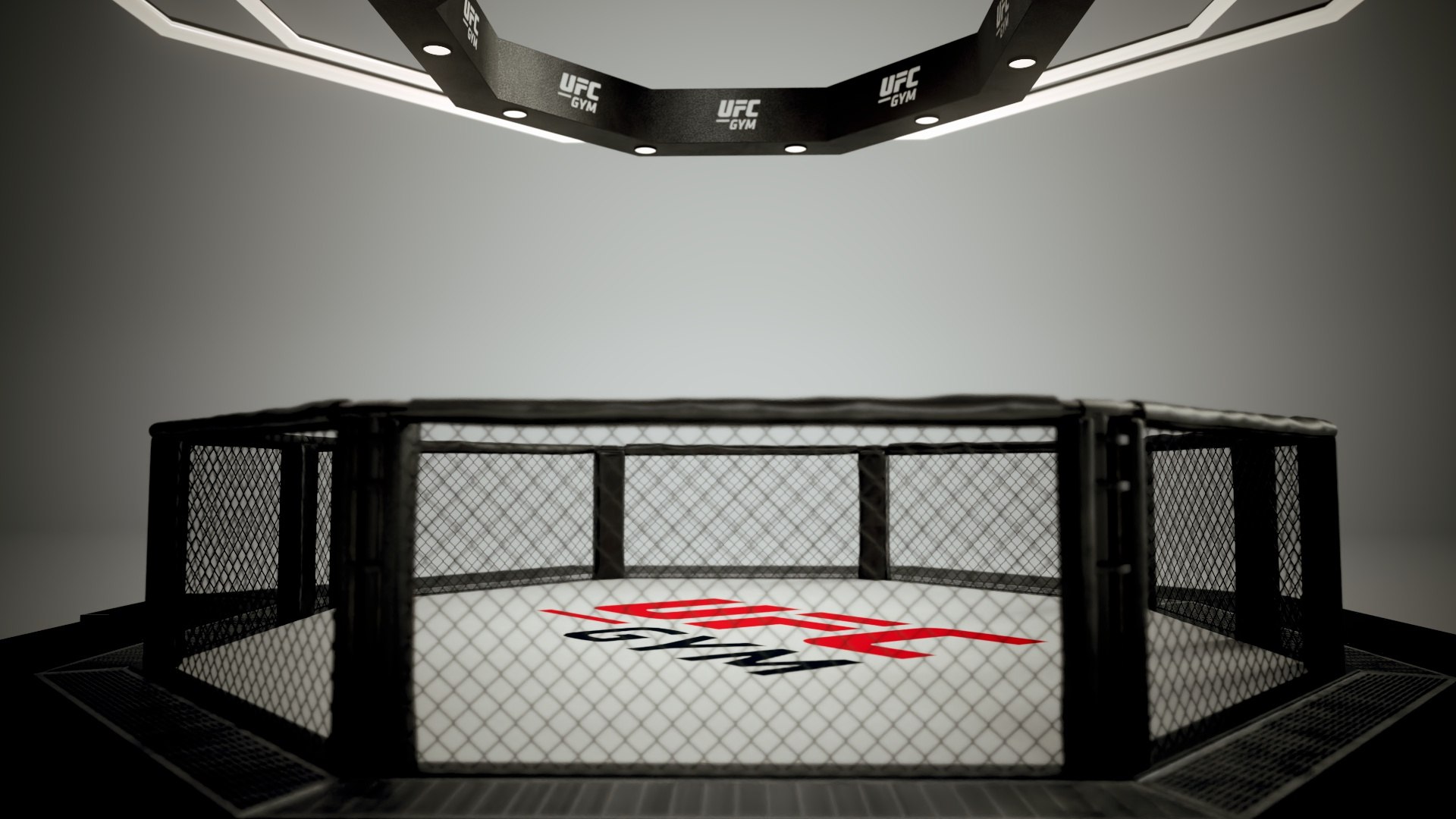 UFC MMA Fighting Arena 3D Model 3D Model - TurboSquid 2199119