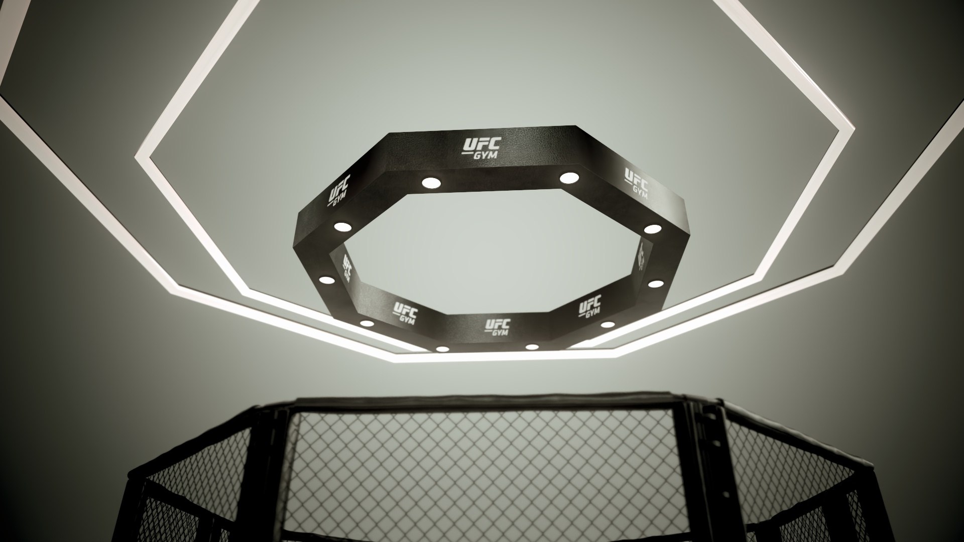 UFC MMA Fighting Arena 3D Model 3D Model - TurboSquid 2199119