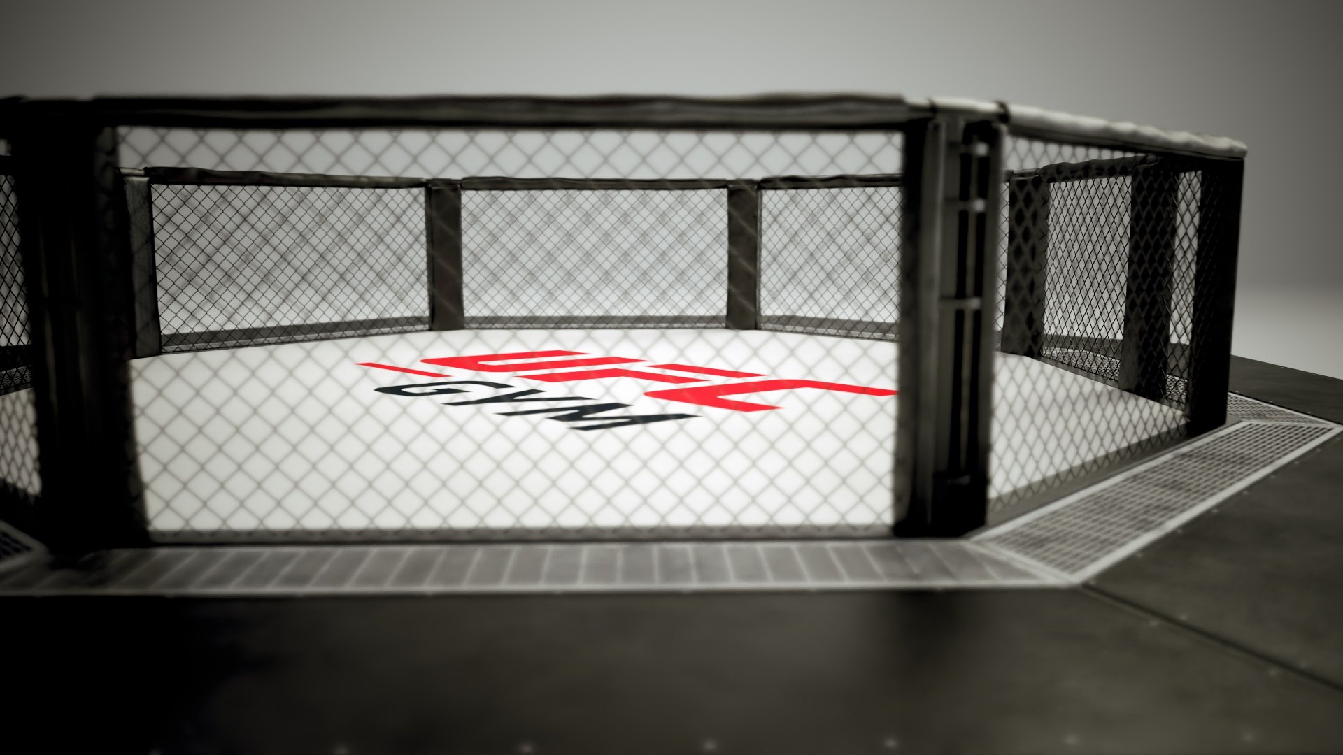 UFC MMA Fighting Arena 3D Model 3D Model - TurboSquid 2199119