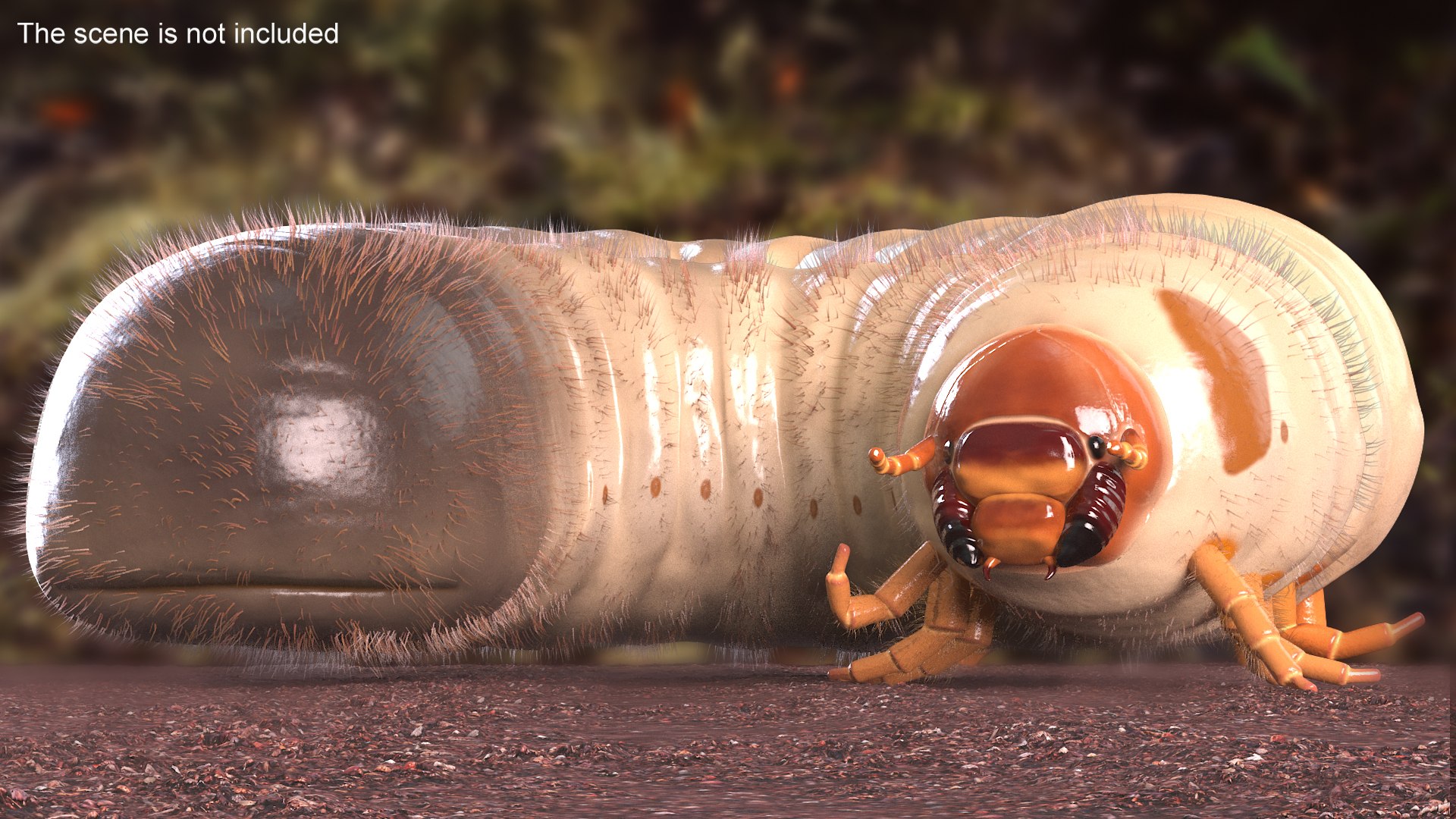 3D Maggot May Bug Rigged Fur - TurboSquid 2164978