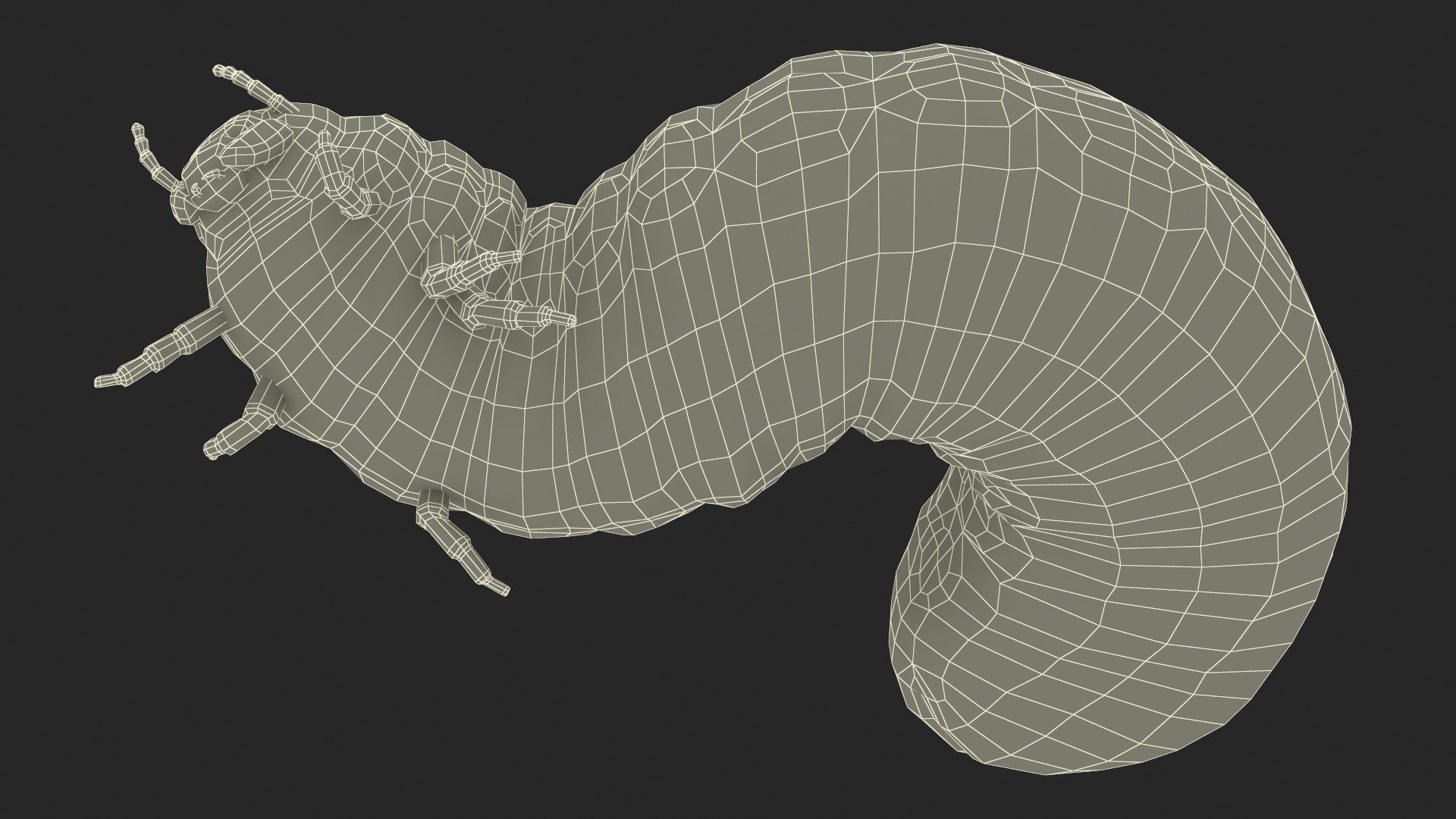 3D Maggot May Bug Rigged Fur - TurboSquid 2164978