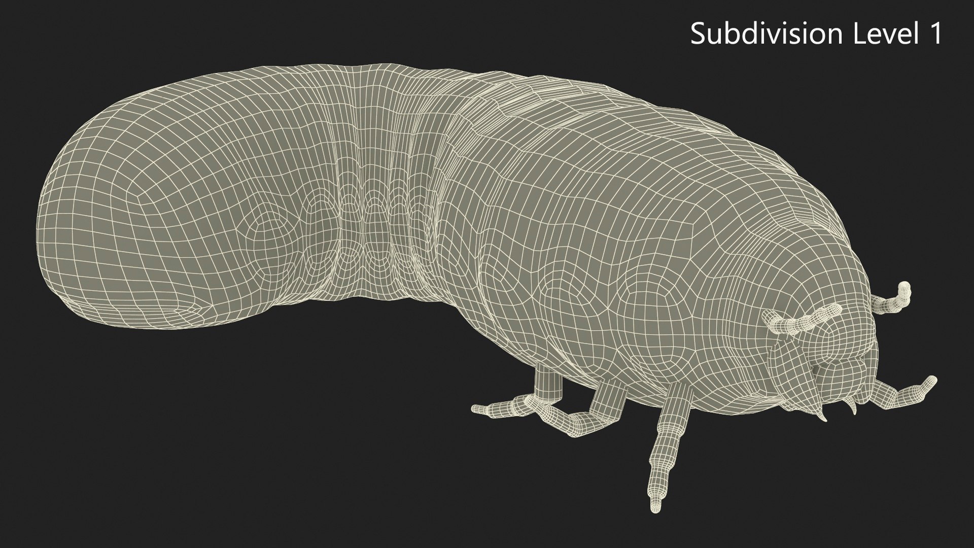 3D Maggot May Bug Rigged Fur - TurboSquid 2164978