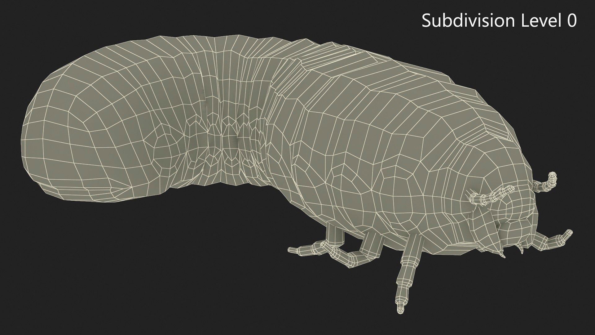 3D Maggot May Bug Rigged Fur - TurboSquid 2164978