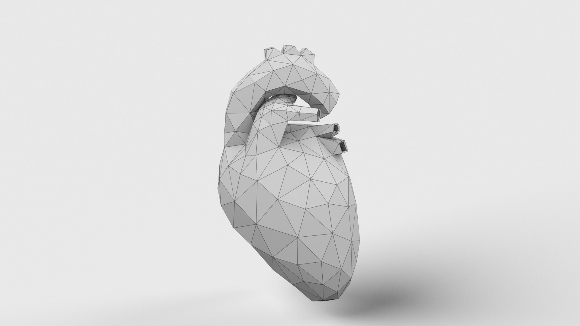 3D model Low Poly Anatomy collection - TurboSquid 1885612
