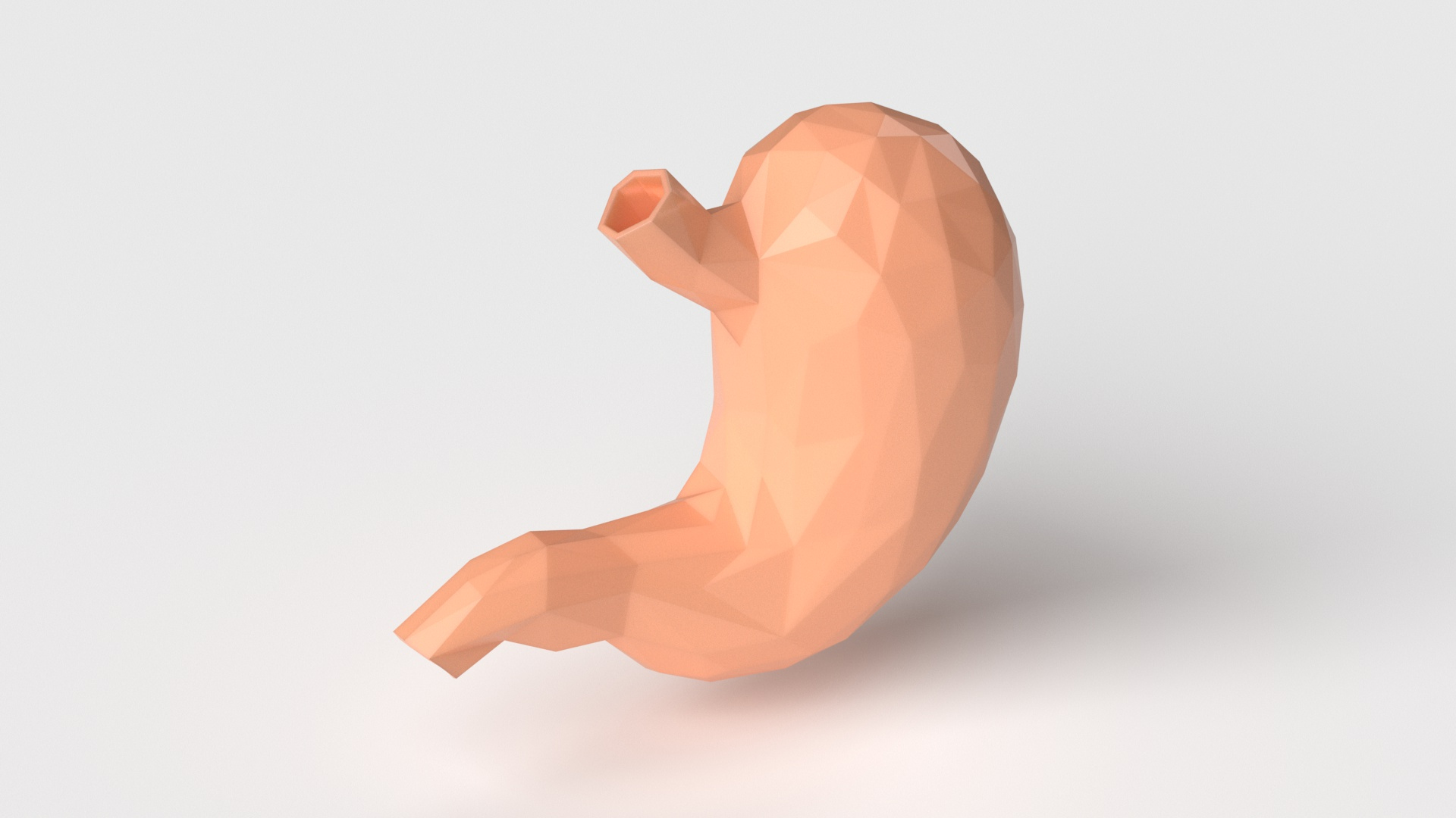 3D Model Low Poly Anatomy Collection - TurboSquid 1885612