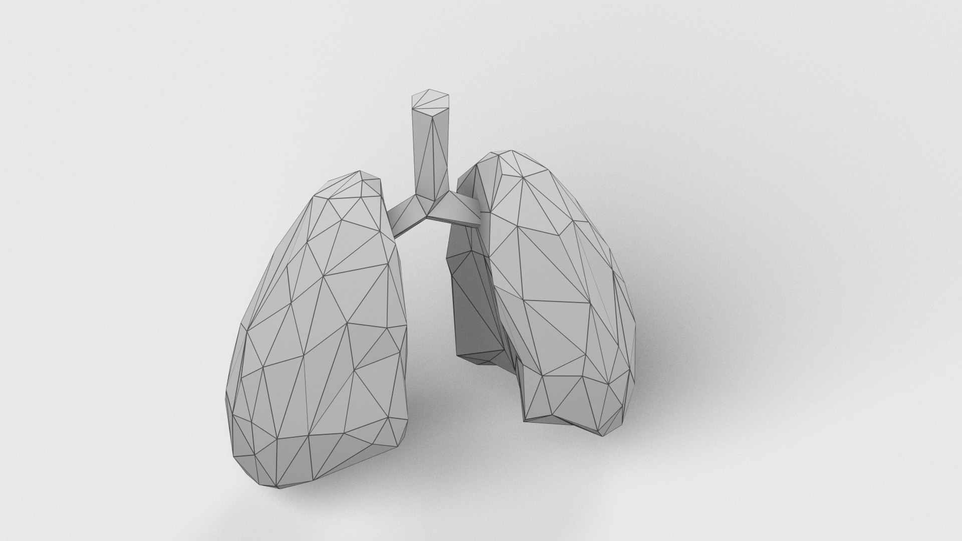 3D model Low Poly Anatomy collection - TurboSquid 1885612