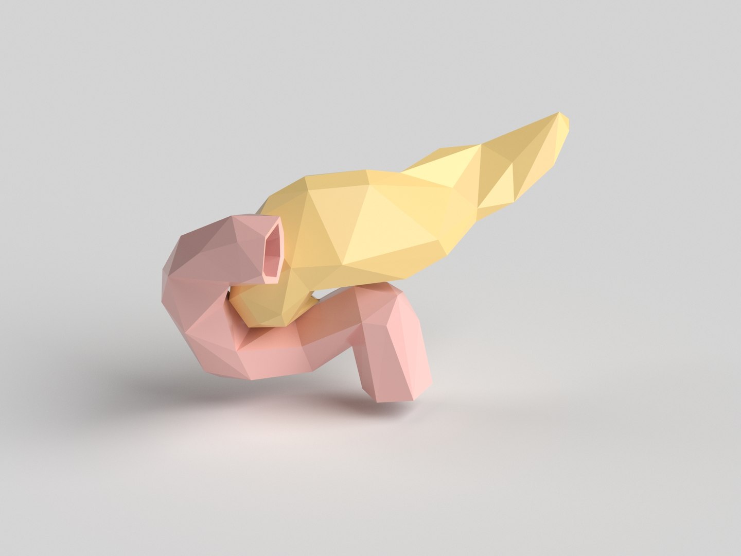 3D Model Low Poly Anatomy Collection - TurboSquid 1885612