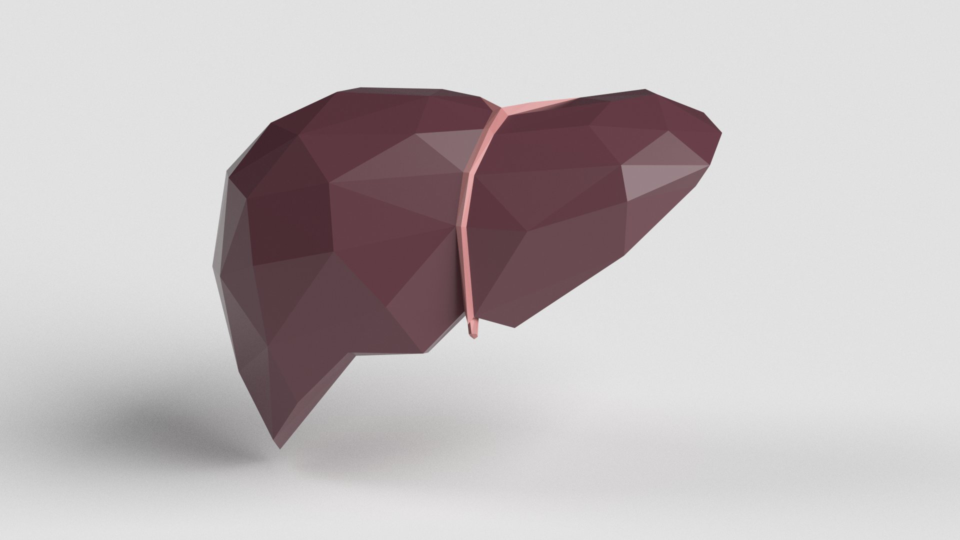 3D Model Low Poly Anatomy Collection - TurboSquid 1885612