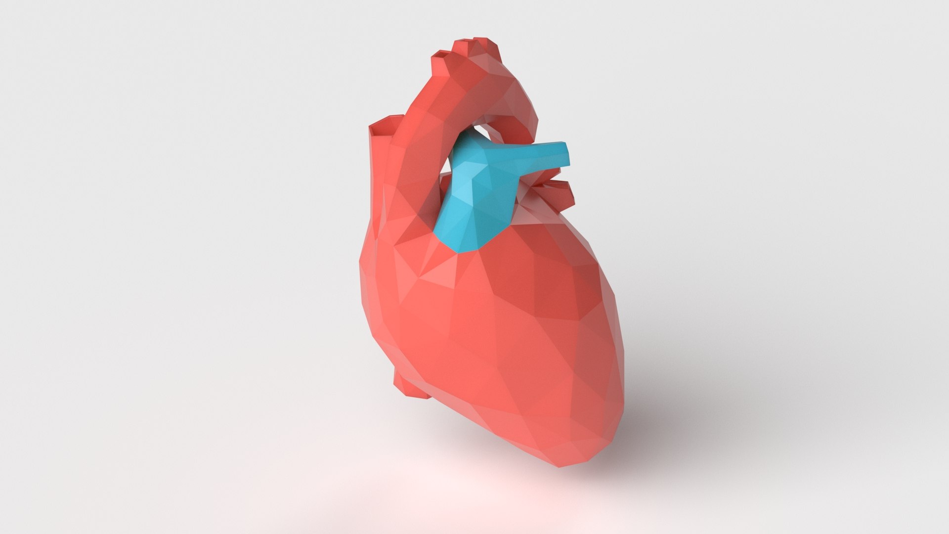 3D Model Low Poly Anatomy Collection - TurboSquid 1885612